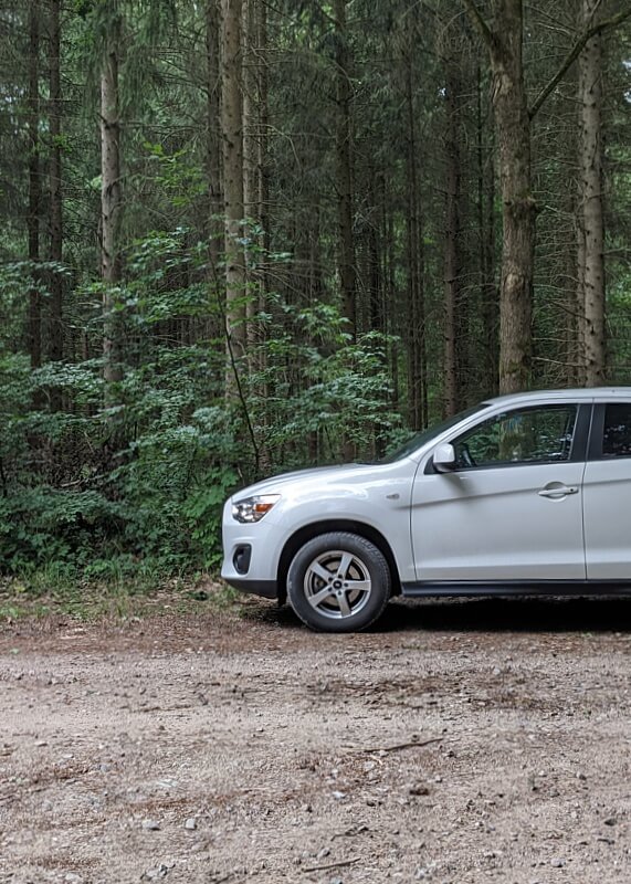 Anträge und Genehmigungen nach dem Landeswaldgesetz - Wald-MV