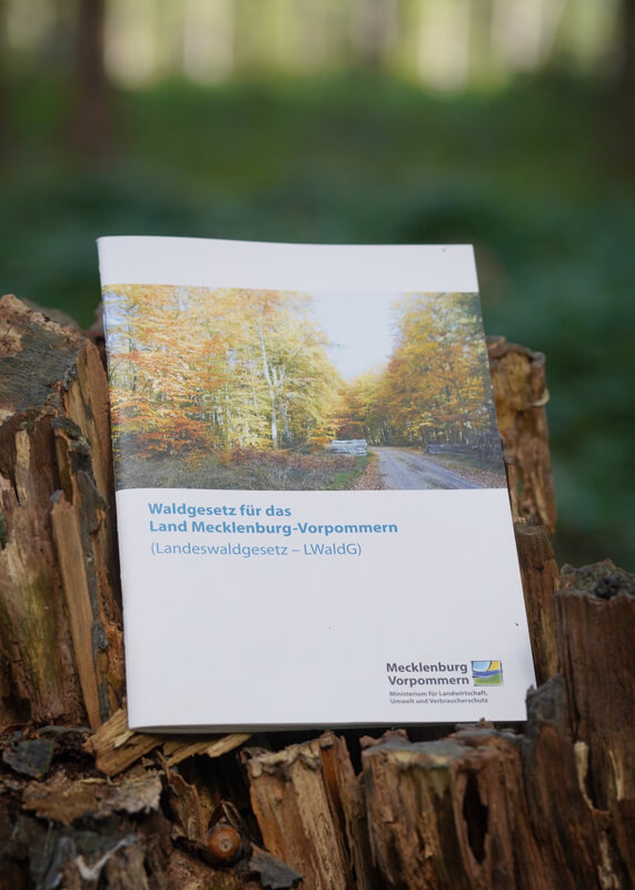 Gesetze, Verordnungen & Erlasse - Wald-MV