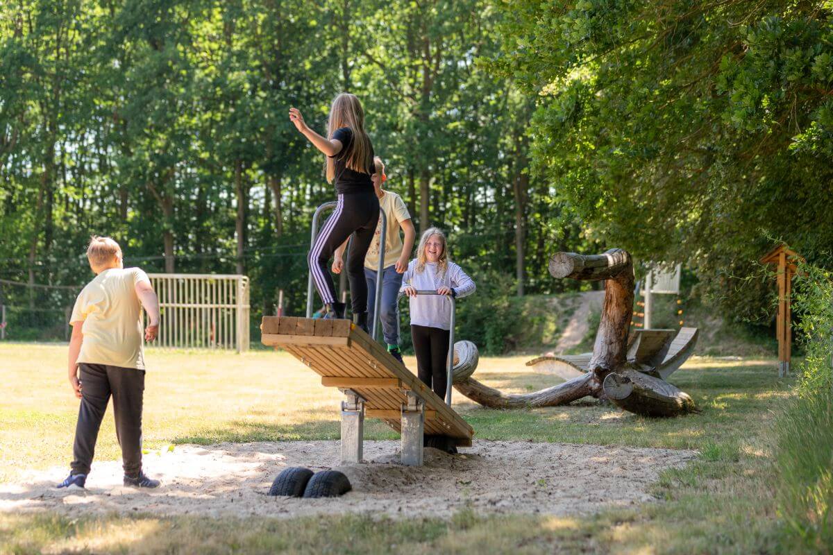 Jugendwaldheim Dümmer - Wald-MV